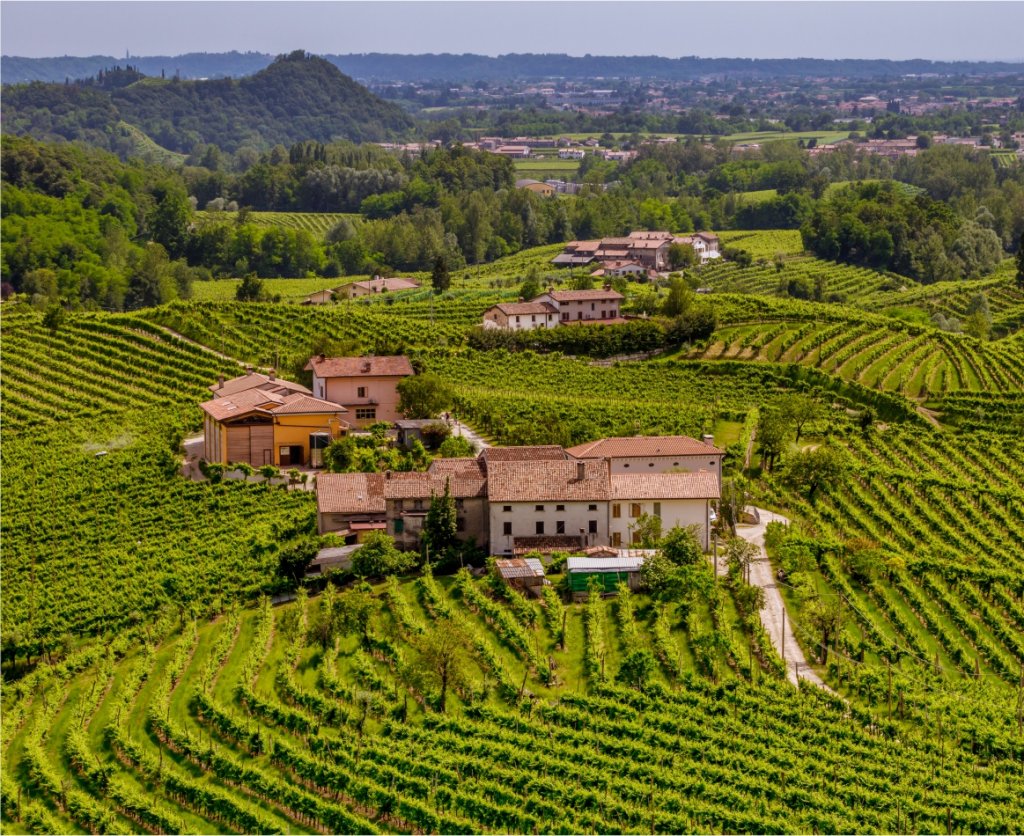 Prosecco, the pride of Veneto